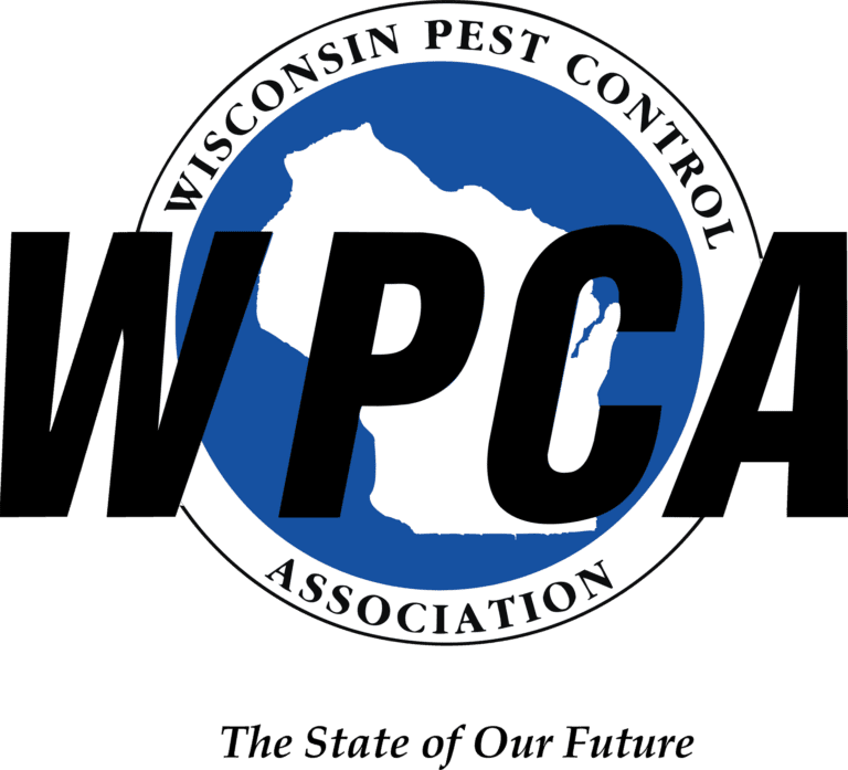 Mouse Multiplication: Madsen Pest Control's Rodent Solutions