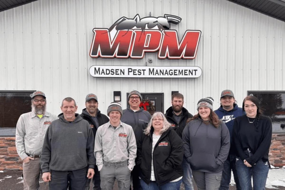 Mouse Math – How Fast Do Mice Multiply? - Madsen Pest Management